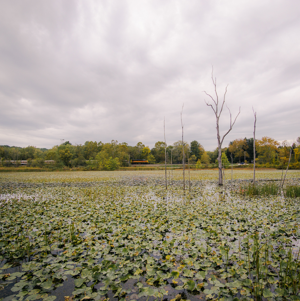 How to Spend One Day at Cuyahoga Valley National Park • Glasses and ...